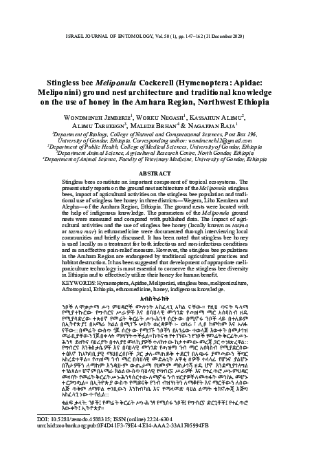 (PDF) Stingless bee Meliponula Cockerell (Hymenoptera: Apidae ...