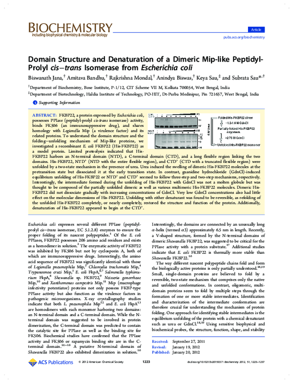 (PDF) Domain structure and denaturation of a dimeric Mip-like peptidyl ...