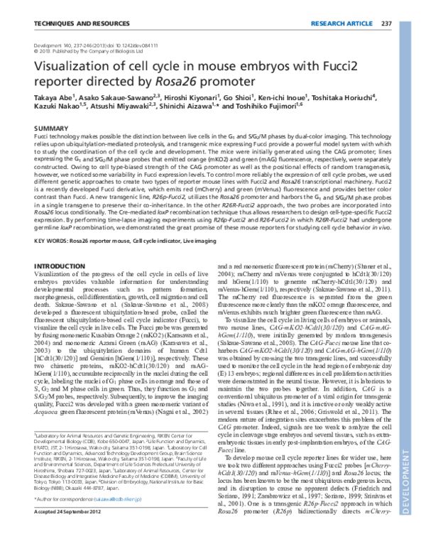 (PDF) Visualization of cell cycle in mouse embryos with Fucci2 reporter ...