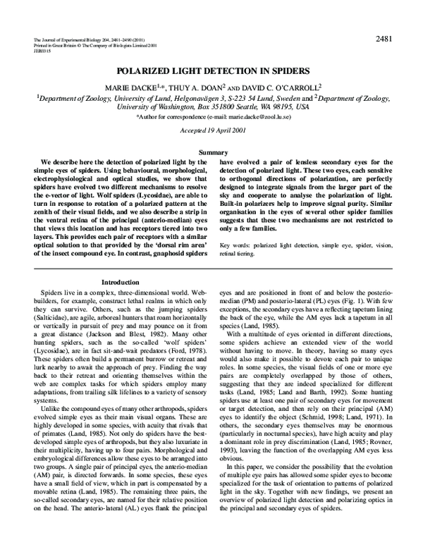 (PDF) Polarized light detection in spiders | marie dacke - Academia.edu