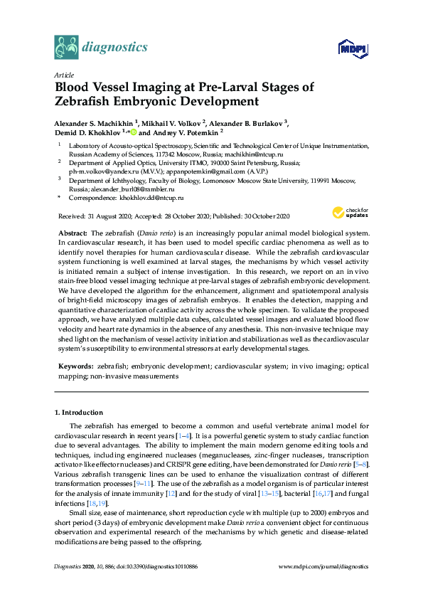 (PDF) Blood Vessel Imaging at Pre-Larval Stages of Zebrafish Embryonic Development