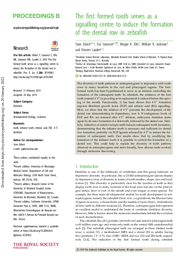 (PDF) The first formed tooth serves as a signalling centre to induce ...