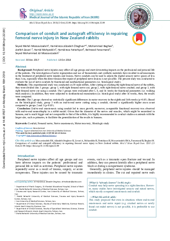 (PDF) Comparison of conduit and autograft efficiency in repairing ...