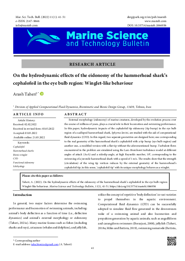 (PDF) On the hydrodynamic effects of the eidonomy of the hammerhead ...