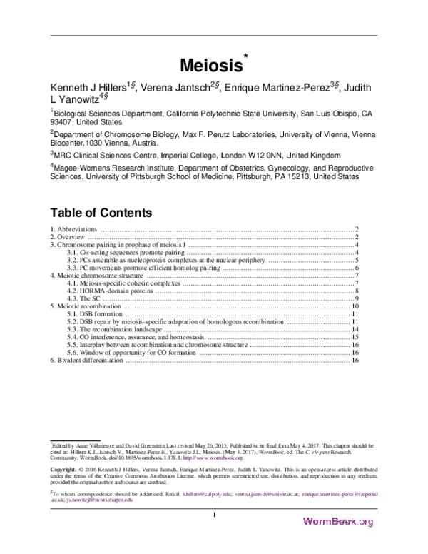 (PDF) Meiosis