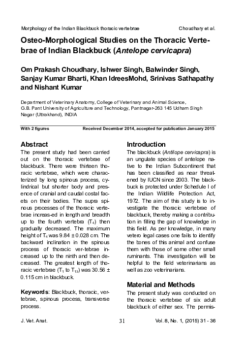 (PDF) Osteo-Morphological Studies on the Thoracic Vertebrae of Indian ...