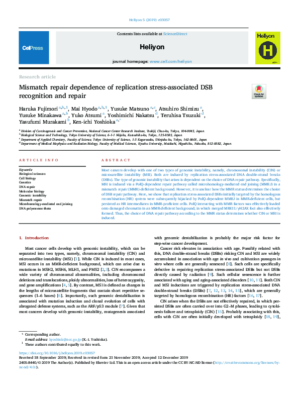 (PDF) Mismatch repair dependence of replication stress-associated DSB ...