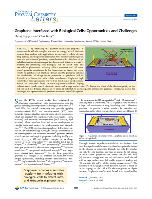 (PDF) Graphene Interfaced with Biological Cells: Opportunities and ...