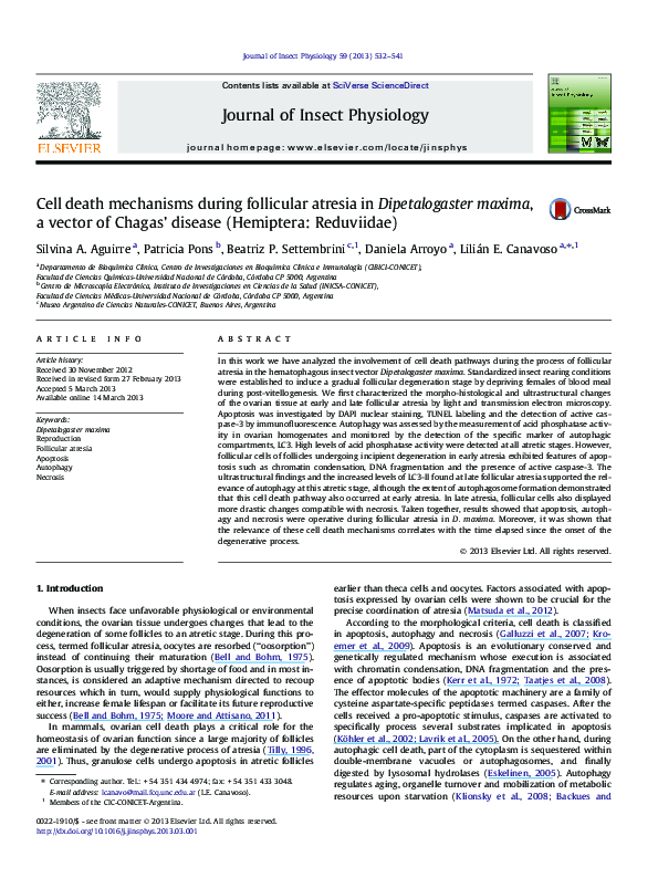(PDF) Cell death mechanisms during follicular atresia in Dipetalogaster ...