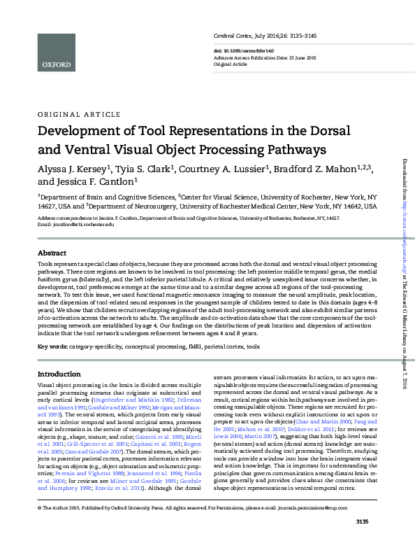 Pdf Development Of Tool Representations In The Dorsal And Ventral Visual Object Processing