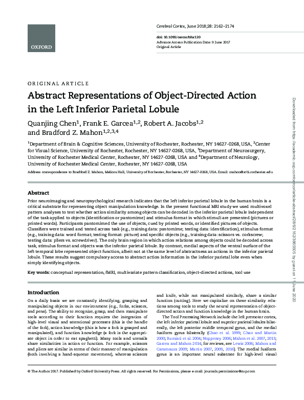 (PDF) Abstract Representations of Object-Directed Action in the Left Inferior Parietal Lobule