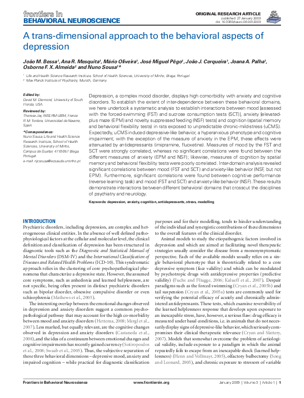 (PDF) A trans-dimensional approach to the behavioral aspects of ...