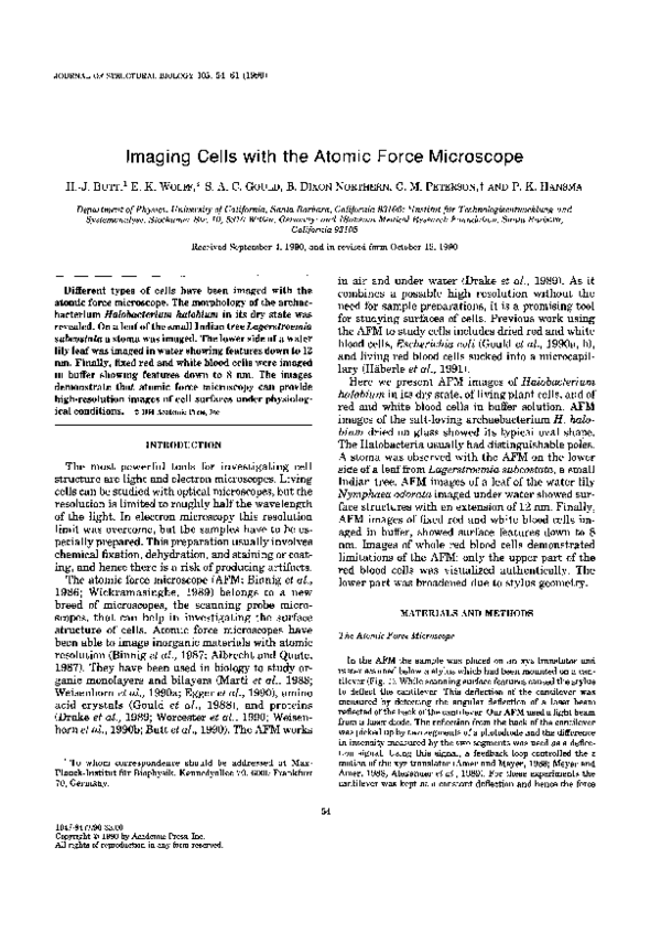 (PDF) Imaging cells with the atomic force microscope