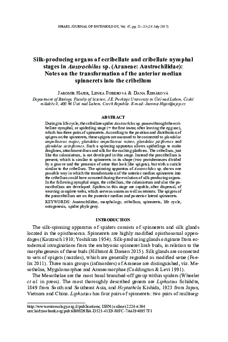 (PDF) Silk-Producing Organs Of Ecribellate And Cribellate Nymphal ...