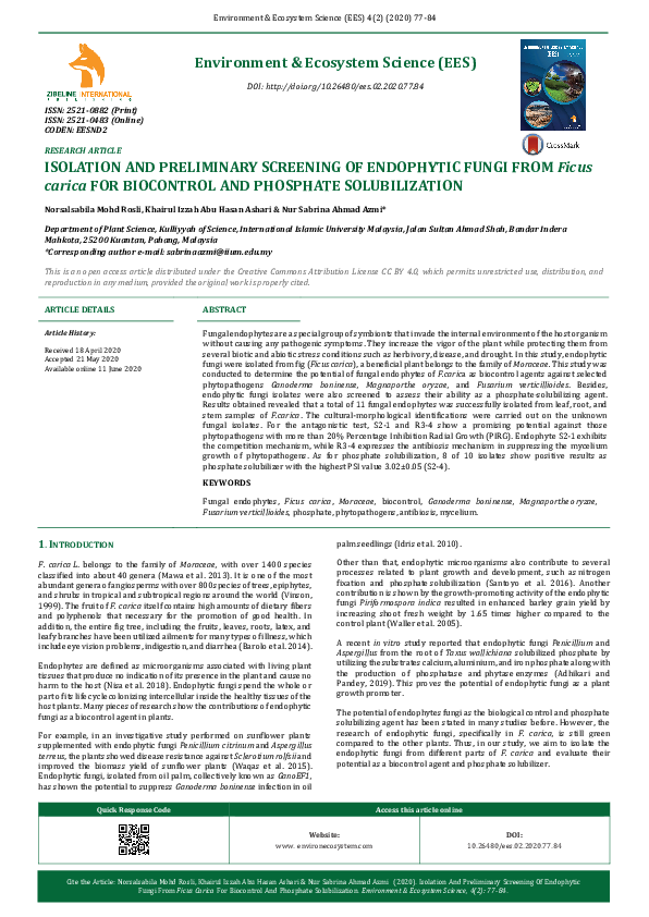 (PDF) ISOLATION AND PRELIMINARY SCREENING OF ENDOPHYTIC FUNGI FROM Ficus carica FOR BIOCONTROL ...