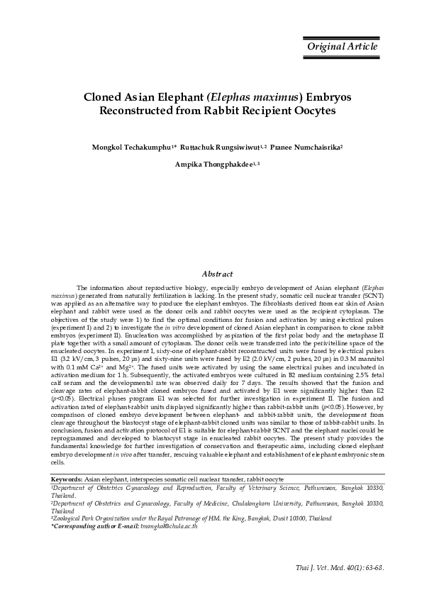 (PDF) Cloning Asian Elephant Embryos from Rabbit Oocytes