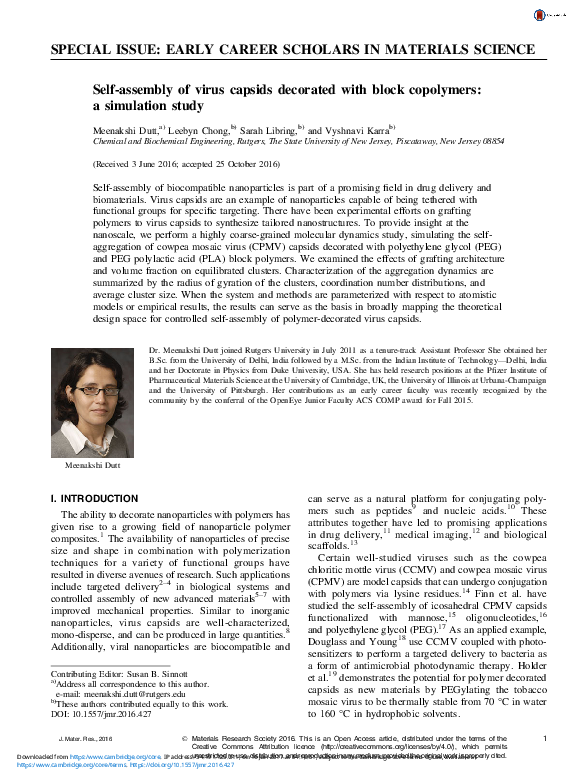 (PDF) Self-assembly of virus capsids decorated with block copolymers: a ...