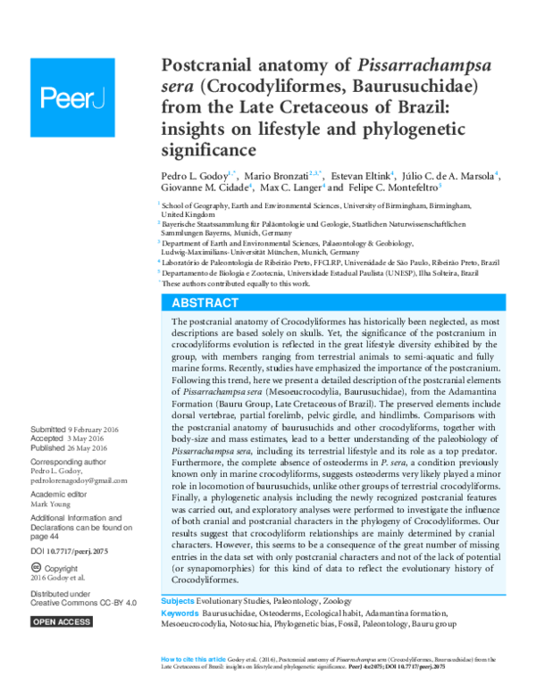 (PDF) Postcranial anatomy ofPissarrachampsa sera(Crocodyliformes ...