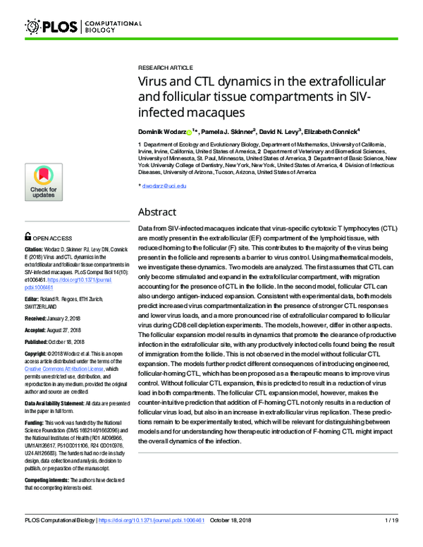 (PDF) Virus and CTL dynamics in the extrafollicular and follicular ...