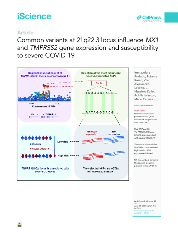 (PDF) Common variants at 21q22.3 locus influence MX1 and TMPRSS2 gene expression and ...