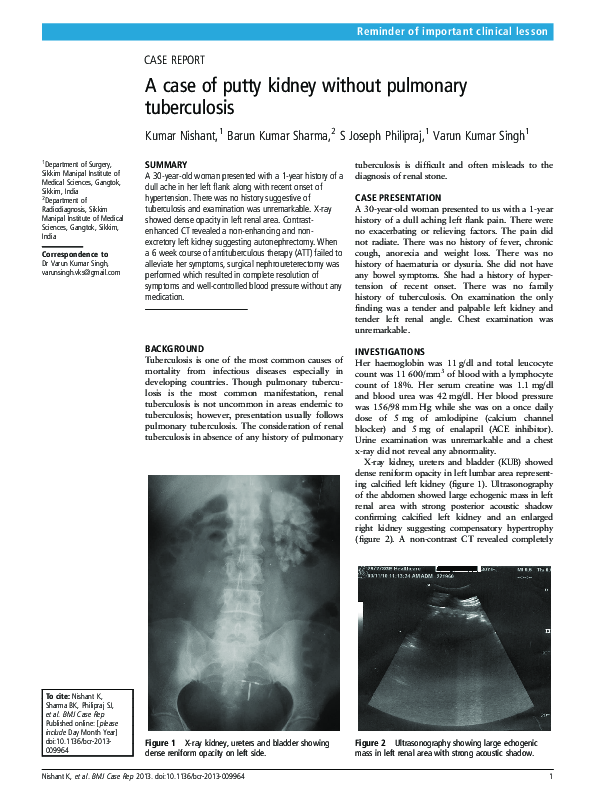 (PDF) A case of putty kidney without pulmonary tuberculosis