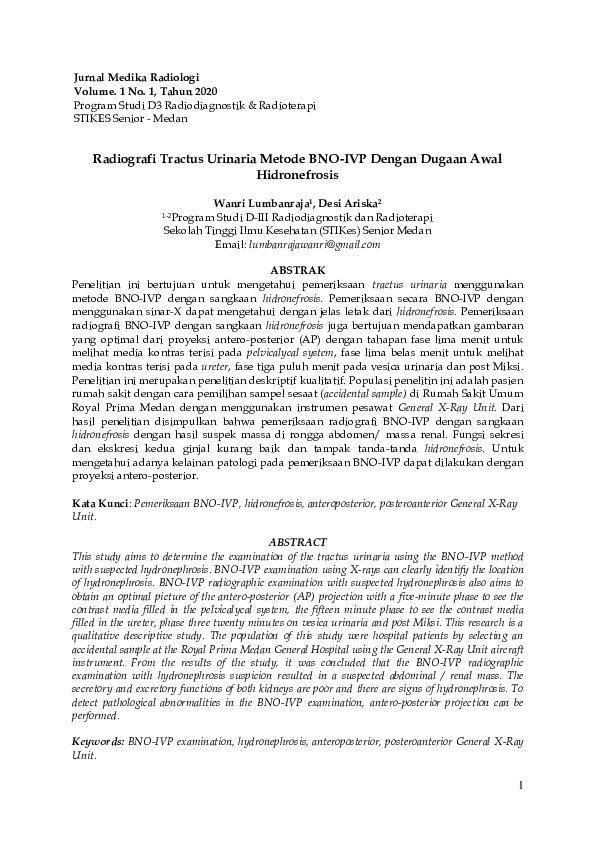 (PDF) Radiografi Tractus Urinaria Metode BNO-IVP Dengan Dugaan Awal ...