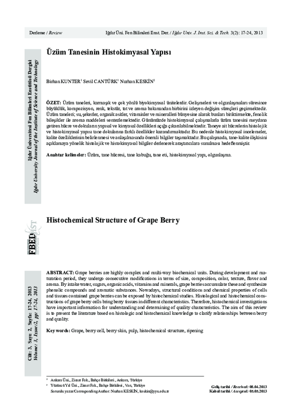 (PDF) Histochemical Structure of Grape Berry