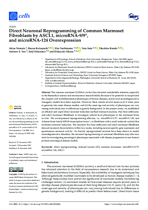 (PDF) Direct Neuronal Reprogramming of Common Marmoset Fibroblasts by ...