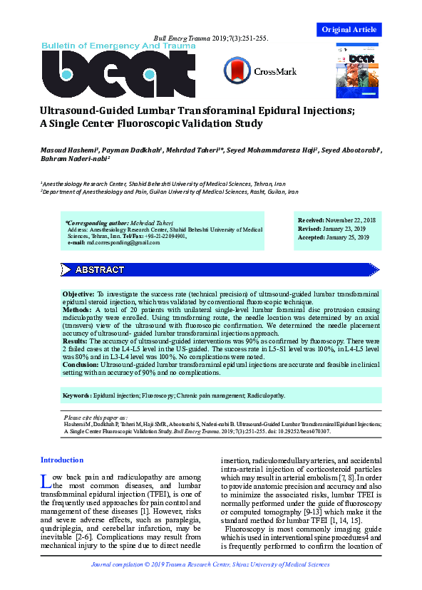 (PDF) Ultrasound-Guided Lumbar Transforaminal Epidural Injections; A ...