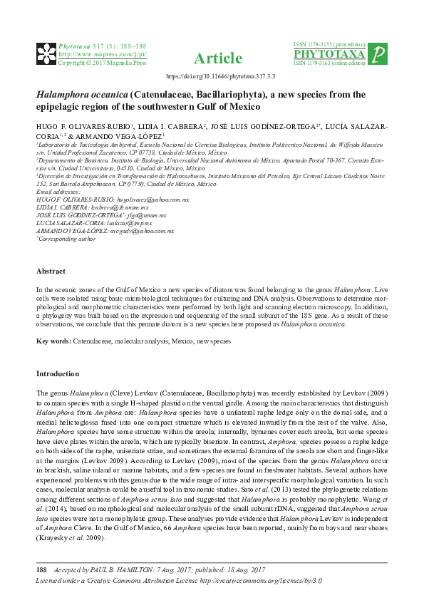 (PDF) Halamphora oceanica (Catenulaceae, Bacillariophyta), a new ...