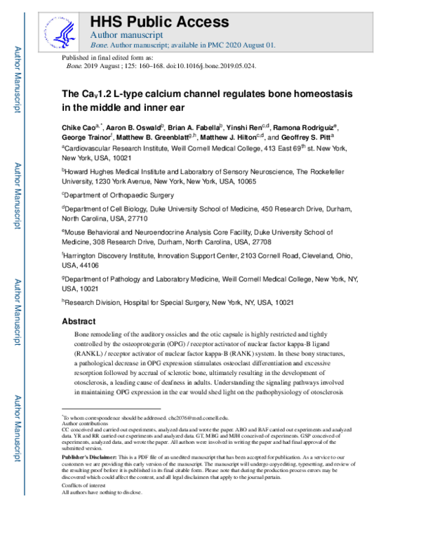(PDF) The CaV1.2 L-type calcium channel regulates bone homeostasis in ...