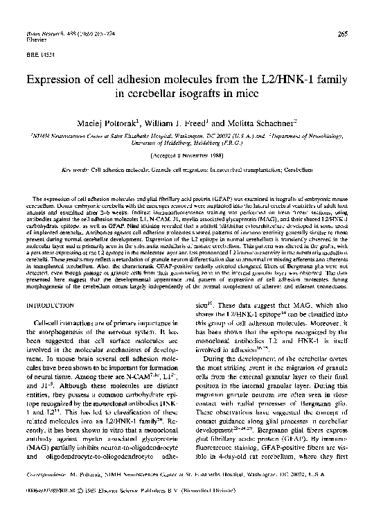 (PDF) Expression of cell adhesion molecules from the L2/HNK-1 family in ...