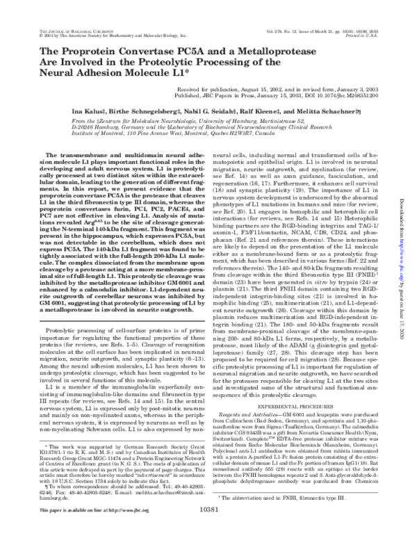 (PDF) The Proprotein Convertase PC5A and a Metalloprotease Are Involved ...