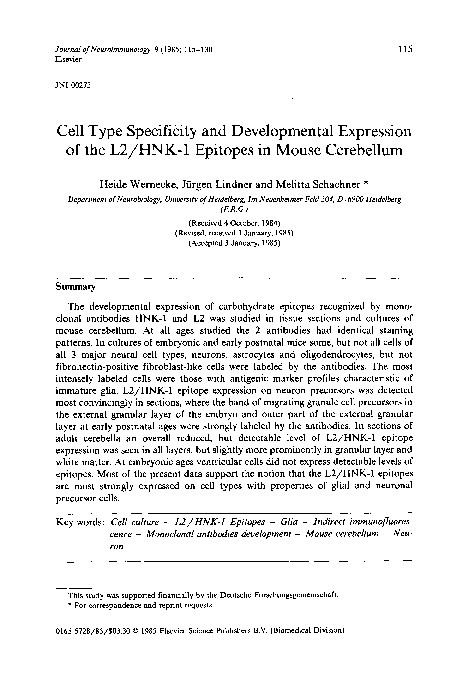 (PDF) Cell type specificity and developmental expression of the L2/HNK ...