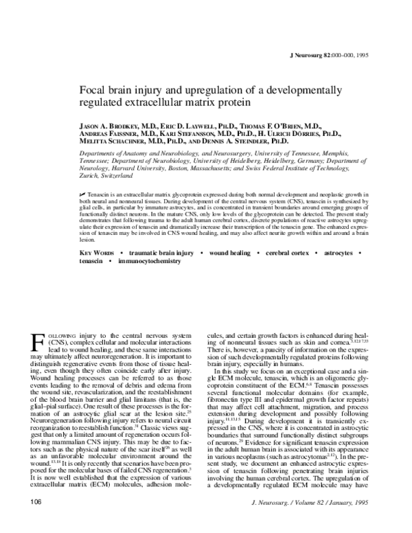 (PDF) Focal brain injury and upregulation of a developmentally ...