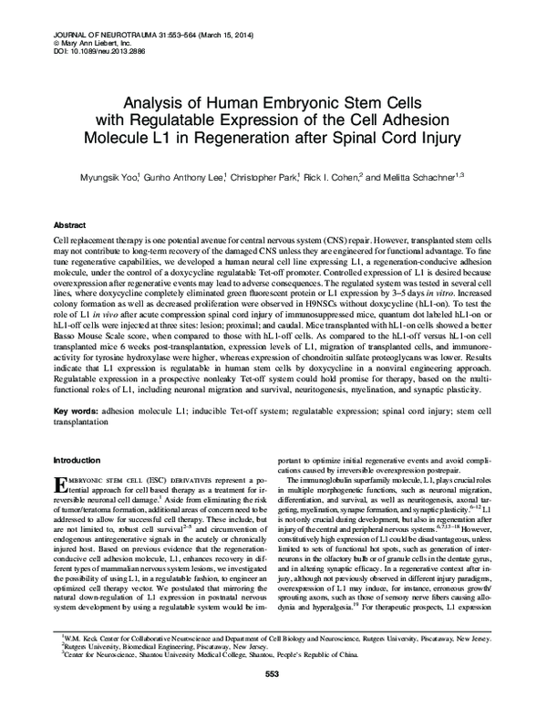 (PDF) Analysis of Human Embryonic Stem Cells with Regulatable ...