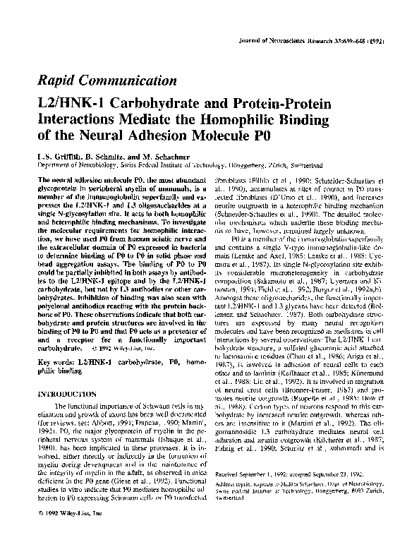 (PDF) The L2/HNK-1 Carbohydrate Mediates Adhesion of Neural Cells to ...