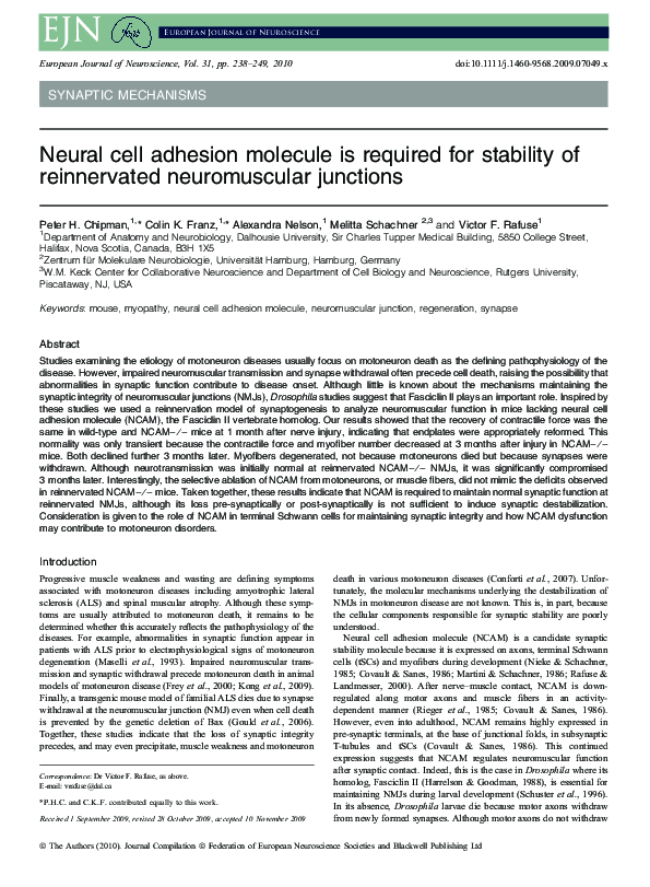 (PDF) Neural cell adhesion molecule is required for stability of ...