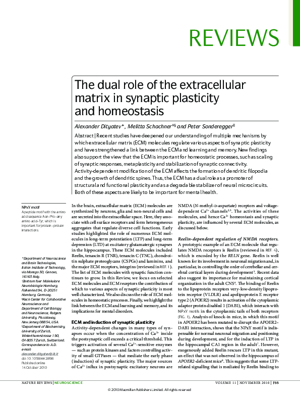 (PDF) The dual role of the extracellular matrix in synaptic plasticity ...