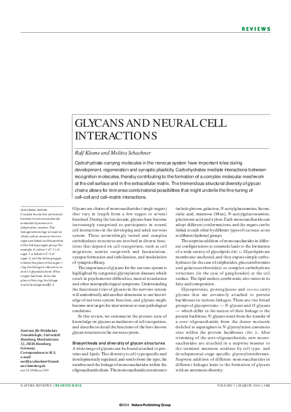 (PDF) Glycans and neural cell interactions