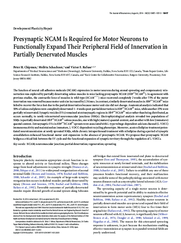 (PDF) Presynaptic NCAM Is Required for Motor Neurons to Functionally ...