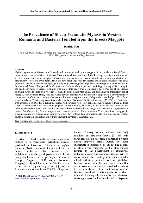 (PDF) The Prevalence of Sheep Traumatic Myiasis in Three Counties from ...