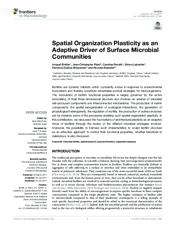 (PDF) Spatial Organization Plasticity as an Adaptive Driver of Surface ...