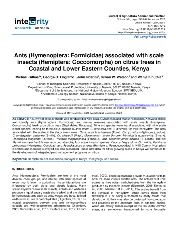 (PDF) Ants (Hymenoptera: Formicidae) associated with scale insects ...