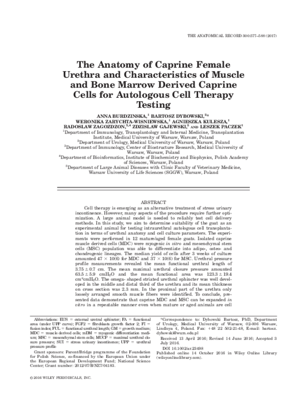 (PDF) The Anatomy of Caprine Female Urethra and Characteristics of ...
