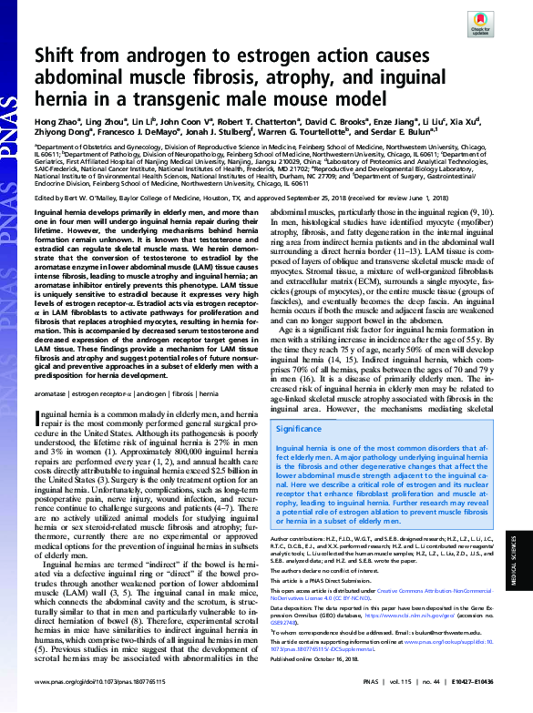 (PDF) Shift from androgen to estrogen action causes abdominal muscle ...