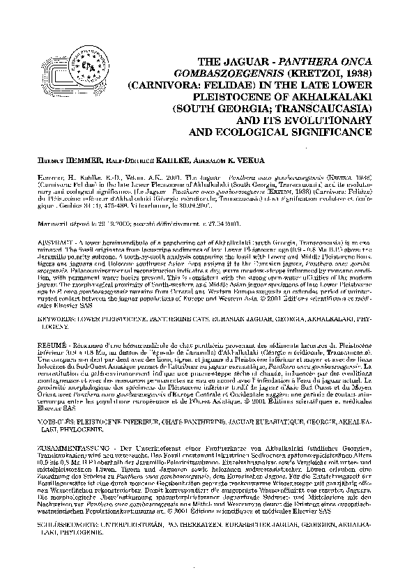 (PDF) The Jaguar - Panthera onca gombaszoegensis (Kretzoi, 1938 ...