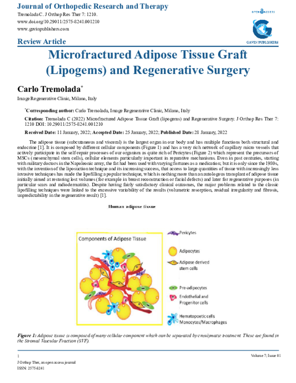 (PDF) Microfractured Adipose Tissue Graft (Lipogems) and Regenerative ...
