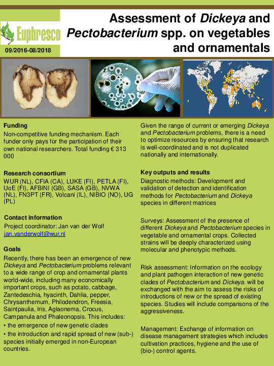 (PDF) Assessment Of Dickeya And Pectobacterium Spp. On Vegetables And ...