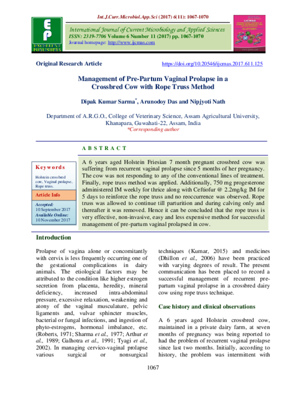 (PDF) Management of Pre-Partum Vaginal Prolapse in a Crossbred Cow with ...